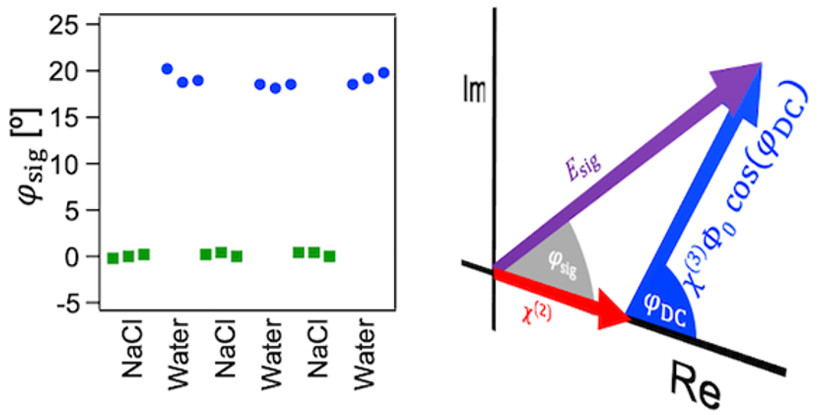 Beyond the Gouy–Chapman Model with Heterodyne-Detected Second Harmonic ...
